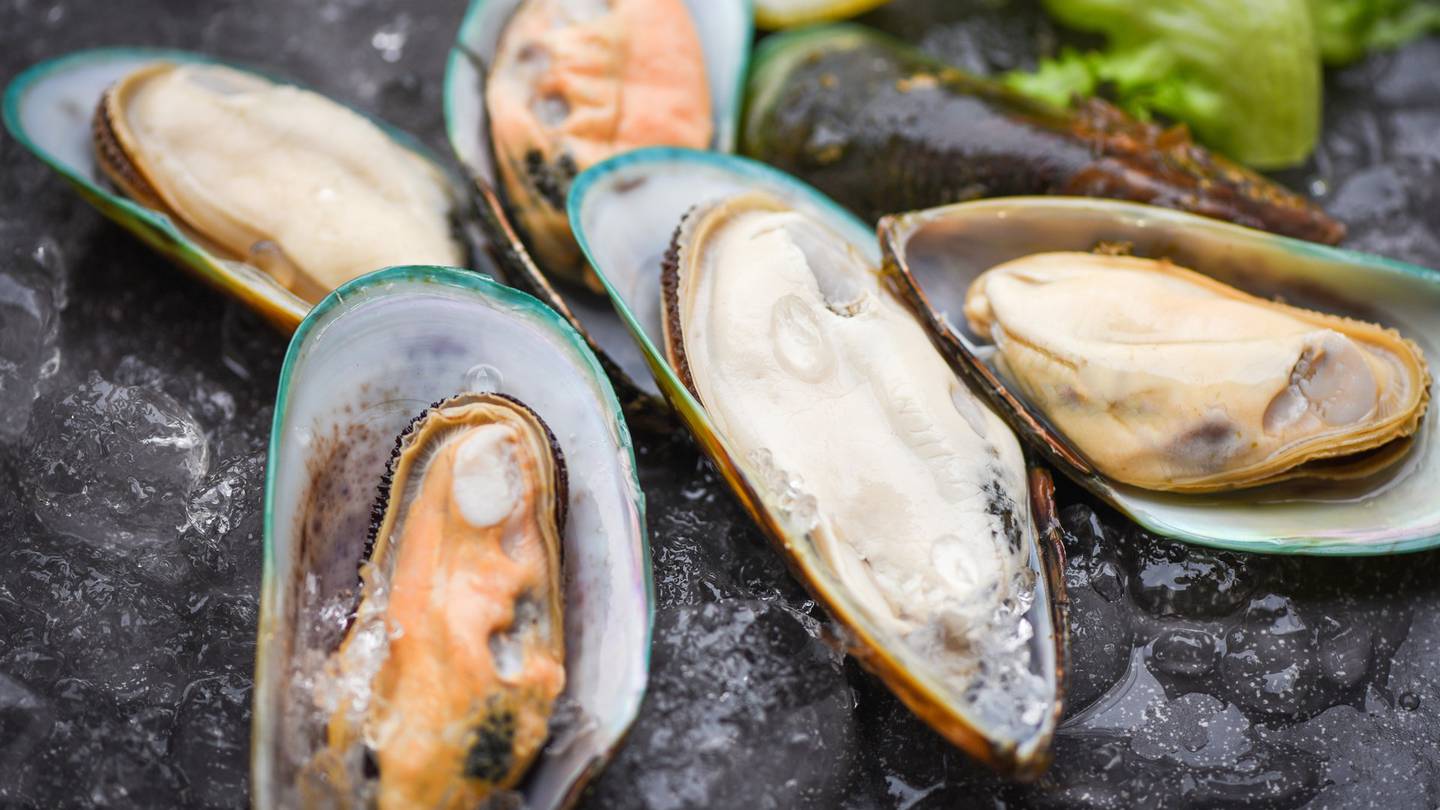 What's all the fuss about Green-Lipped Mussels? – Greas'd